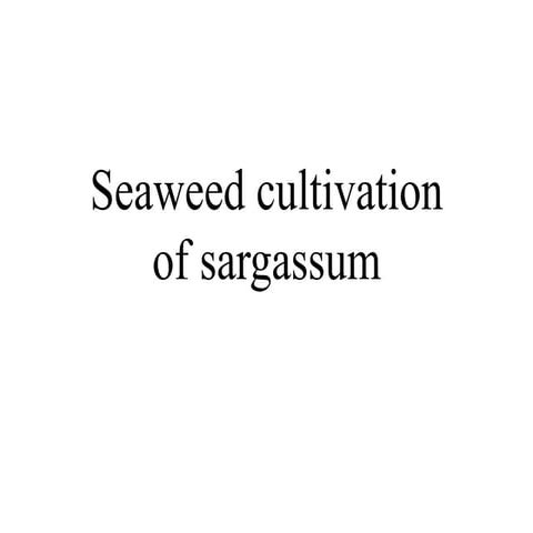 Seaweed cultivation.pptx