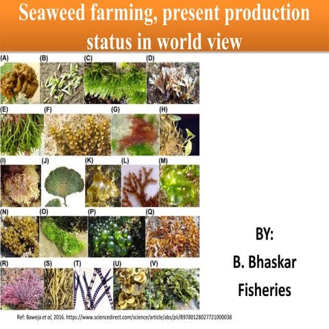 Seaweed farming status in world view B.pptx