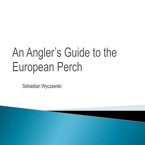 An Angler’s Guide to the European Perch | PPT