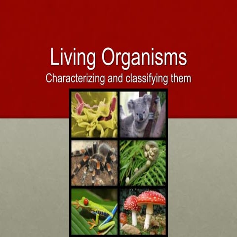 San Pedro Biology review | PPT