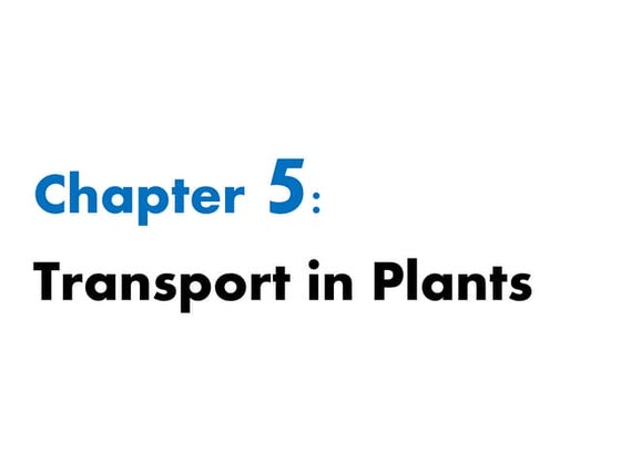 P5 Science - Plant Transport System | PPT | Gardening | Home & Garden