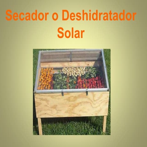 Secador Solar | PPTX