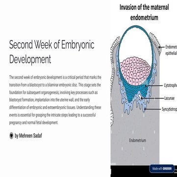 Second-Week-of-Embryonic-Development.pdf