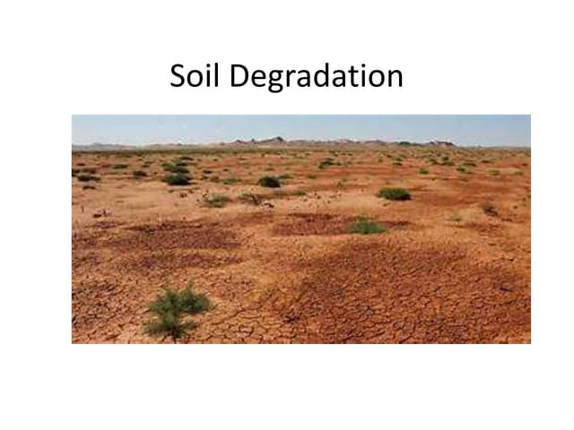 Deserts And Desertification The Causes ,Consequences And Challenges | PPT