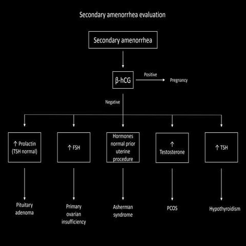 Secondary amenorrhea evaluation HY | PPT