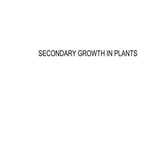 Secondary growth.ppt