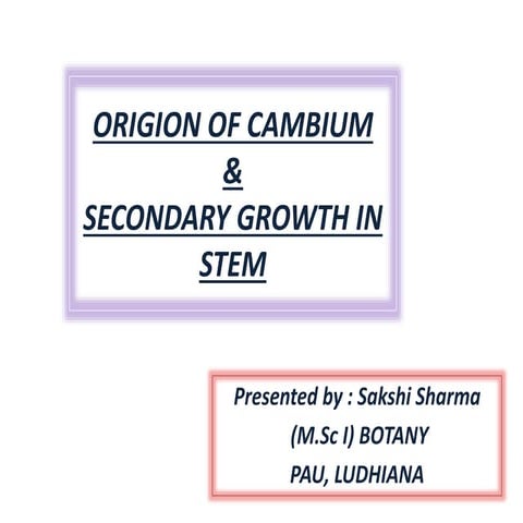 Dermal Tissue System (PLANT) – PPT Overview | PDF