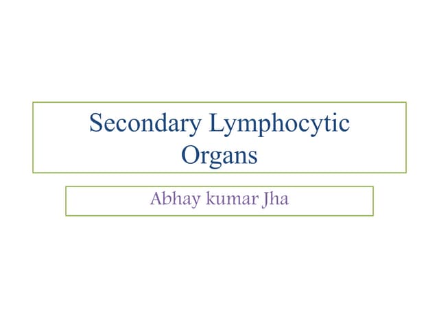 Primary and secondary lymphoid organs | PPT