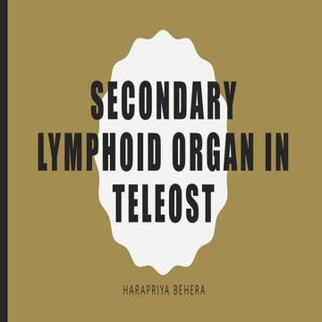 Secondary lymphoid organ in teleost | PPTX