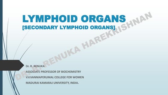 Lymphoid organs ppt | PPT