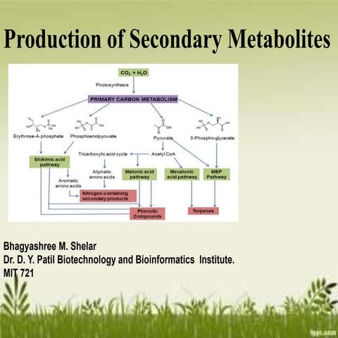 SECONDARY METABOLITES PRODUCTION.pptx