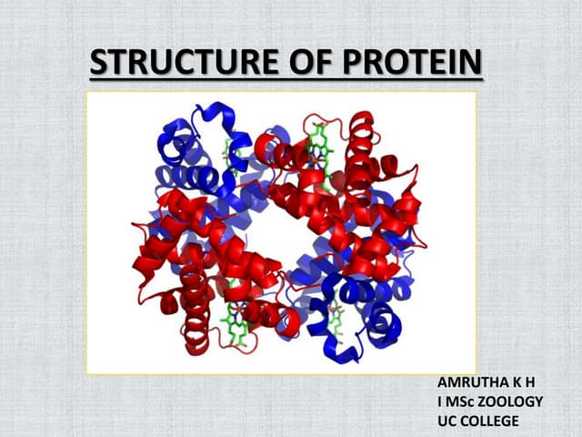 Secondary structure of proteins | PPTX