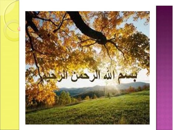 First Conditionals.pptx English Grade 9. | PPT