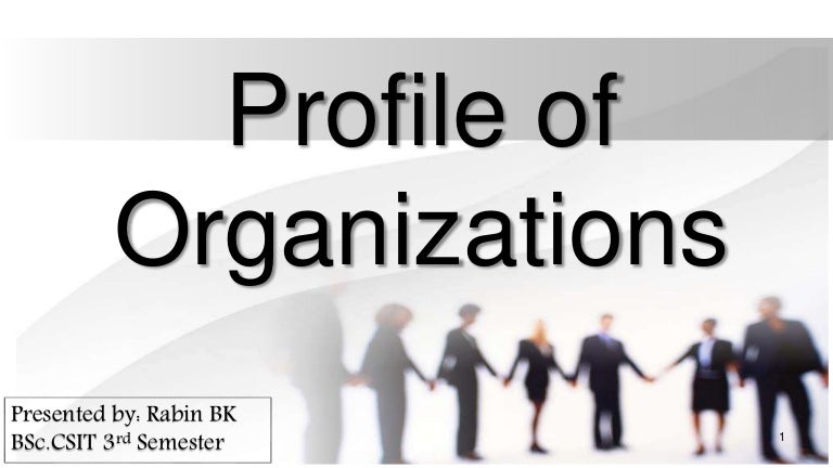 Profile of Organizations