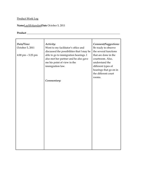 Product work log 03 01 | DOCX