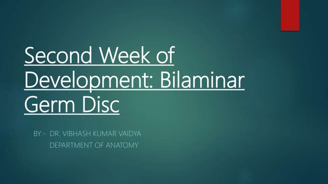 Trilaminar germ disc (week 3 embryology) | PPTX