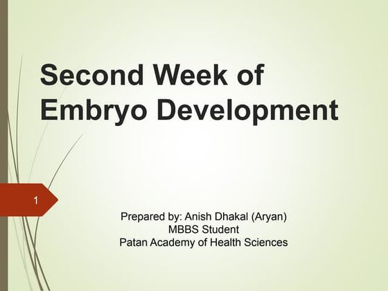 Trilaminar germ disc (week 3 embryology) | PPTX