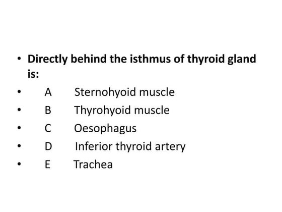 Anatomy mcqs thorax | DOC