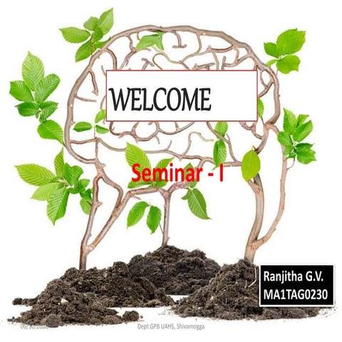 Secret life of plants | PPTX