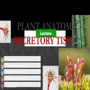 secretory tissues Types and classification | PPTX
