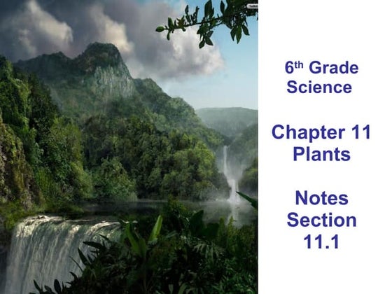 Sciophytes | PPTX | Gardening | Home & Garden