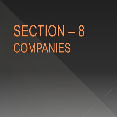 SECTION -8 B-13.pptx non profitable organization | PPTX