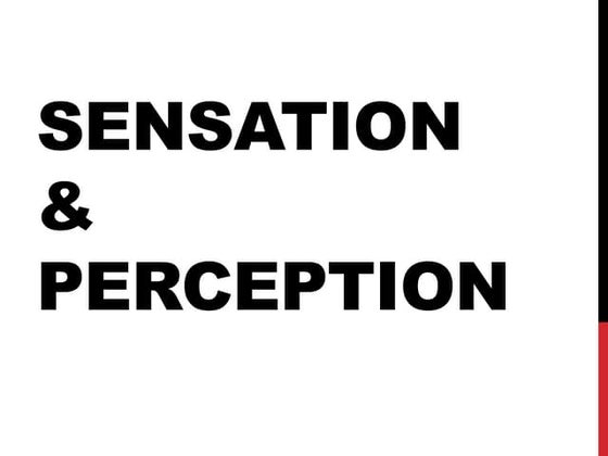 Perception Organisational Behaviour Pptx Technology Computing
