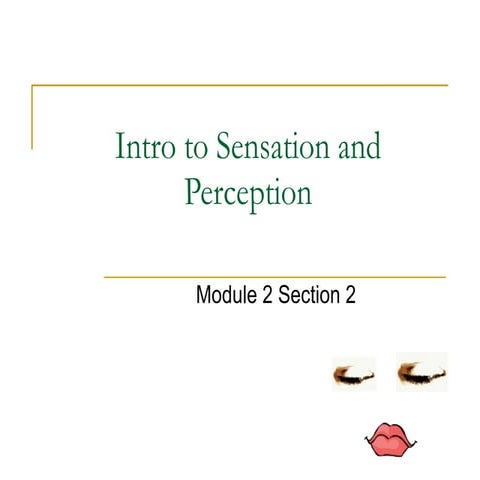 Section 2 Senses And Perception | PPT