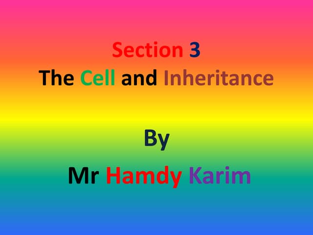 Chromosomal Theory Of Inheritance Ppt