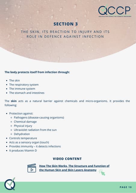 Section 5 The Chain of Infection.pdf | Infectious Diseases | Diseases ...