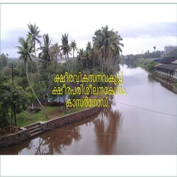 Section 80 of DCS Staff Regarding-kasargode district..Training purpose ...