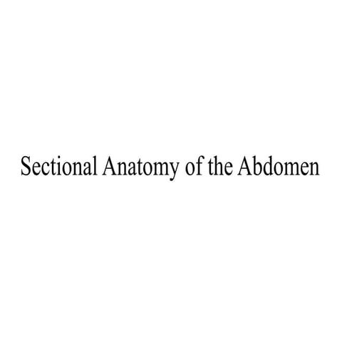 Cross Sectional Anatomy of the Abdomen 1 | PPTX