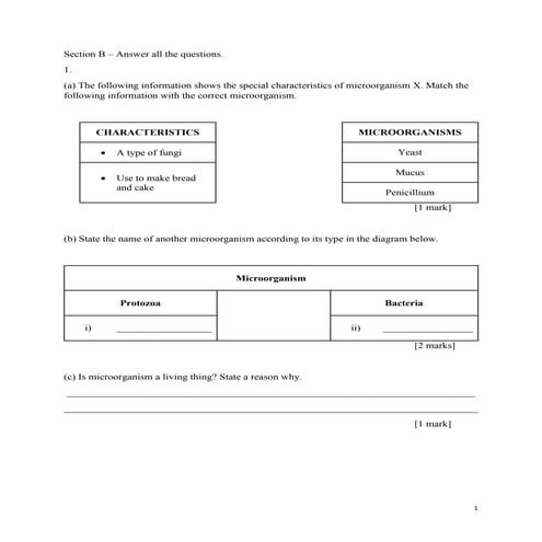 sectionbofscienceandidontknowwhattowriteasatitile | PDF
