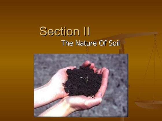 Irish brown earth soils | PPT