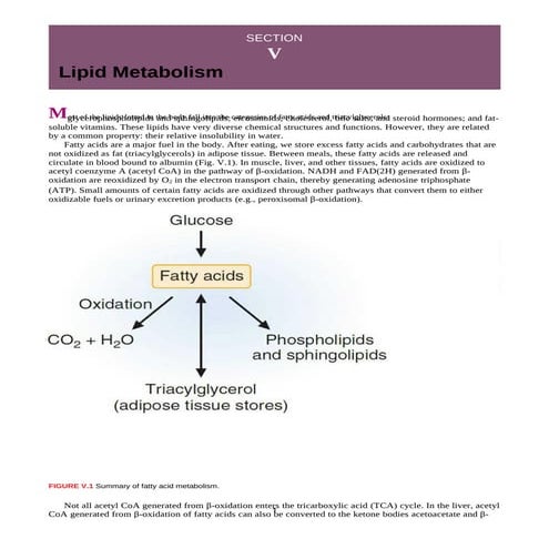 LIPID METABOLISM MCQ QUESTIONS/ ANSWERS pdf | PDF
