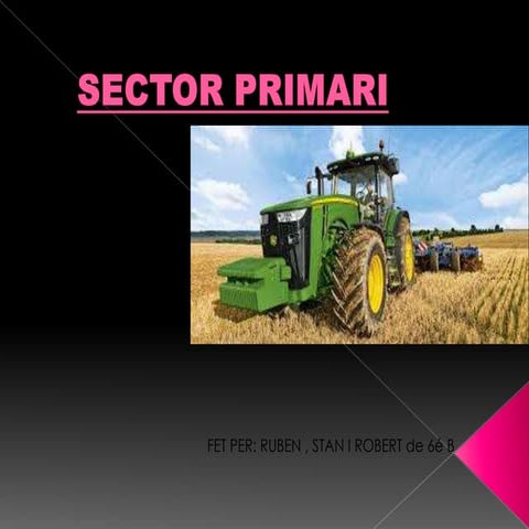 Sector primari-robert-stan-ruben | PPTX