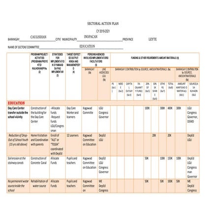 Sectoral plan 2019 2021@brgy.caul