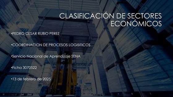 Sectores Economicos | PPT