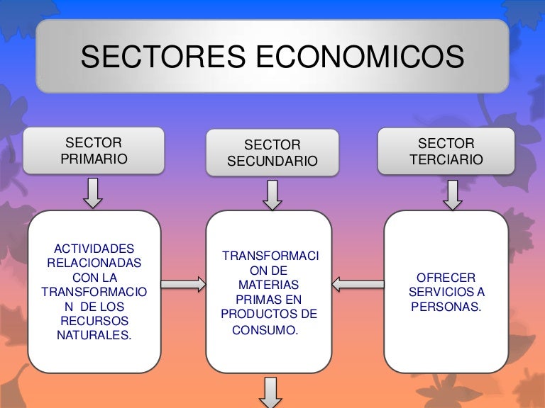 Sectores economicos oscar