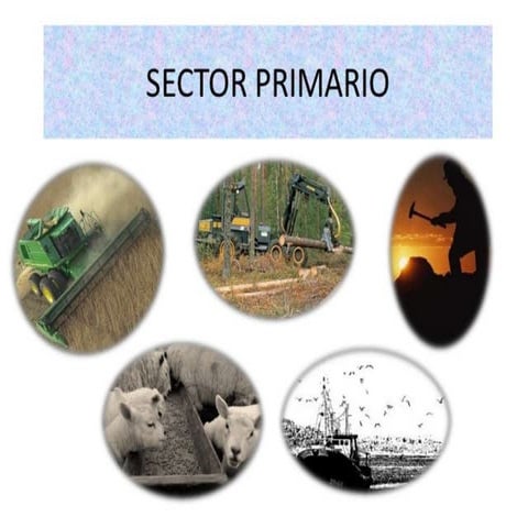Sector Primario: Agricultura, Ganadería, Pesca y Minería | PPT