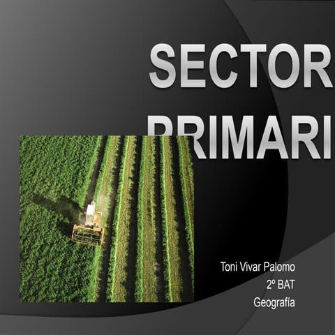 Sector primari_toni | PPTX