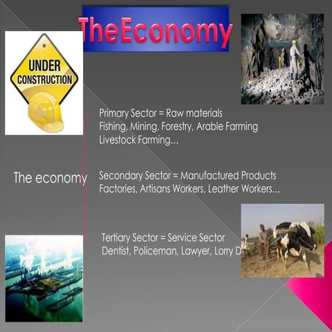 Sectors of the economy alonso | PPTX