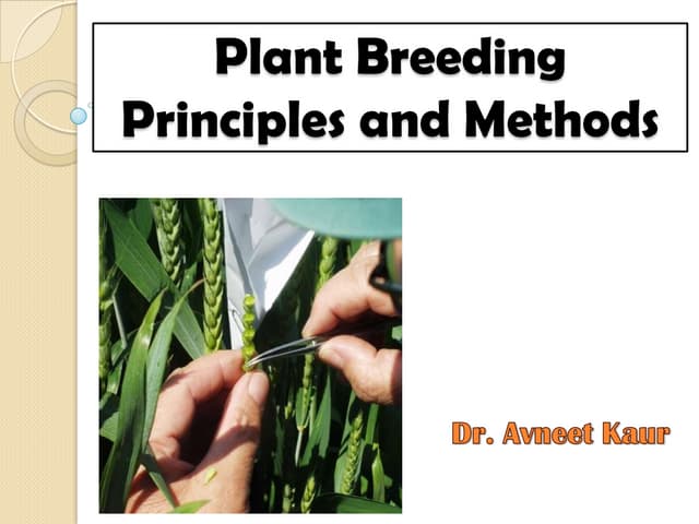 PEDIGREE METHOD OF PLANT BREEDING | PPTX