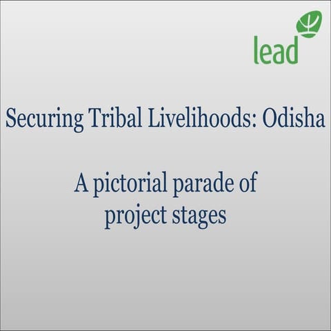 Securing tribal livelihoods odisha LEAD India | PPTX