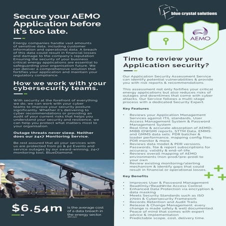 AEMO Application Security Assessment Services.pdf