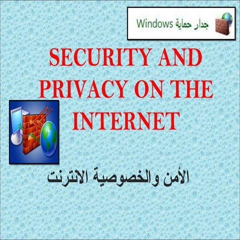 Security and Privacy on the Net | PPT