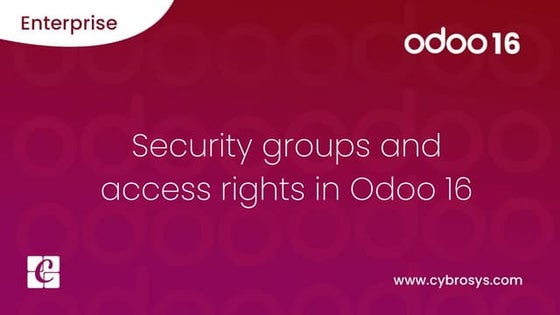 How to Manage Access Rights & User Types in Odoo 17 | PPT
