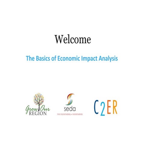 The Basics of Economic Impact Analysis | PDF