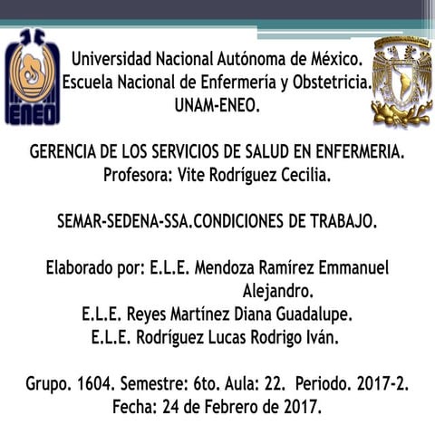 Sedena ssa semar | PDF