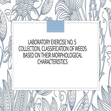 3_morphology_sedges_broadleaf_grass_group6.pptx